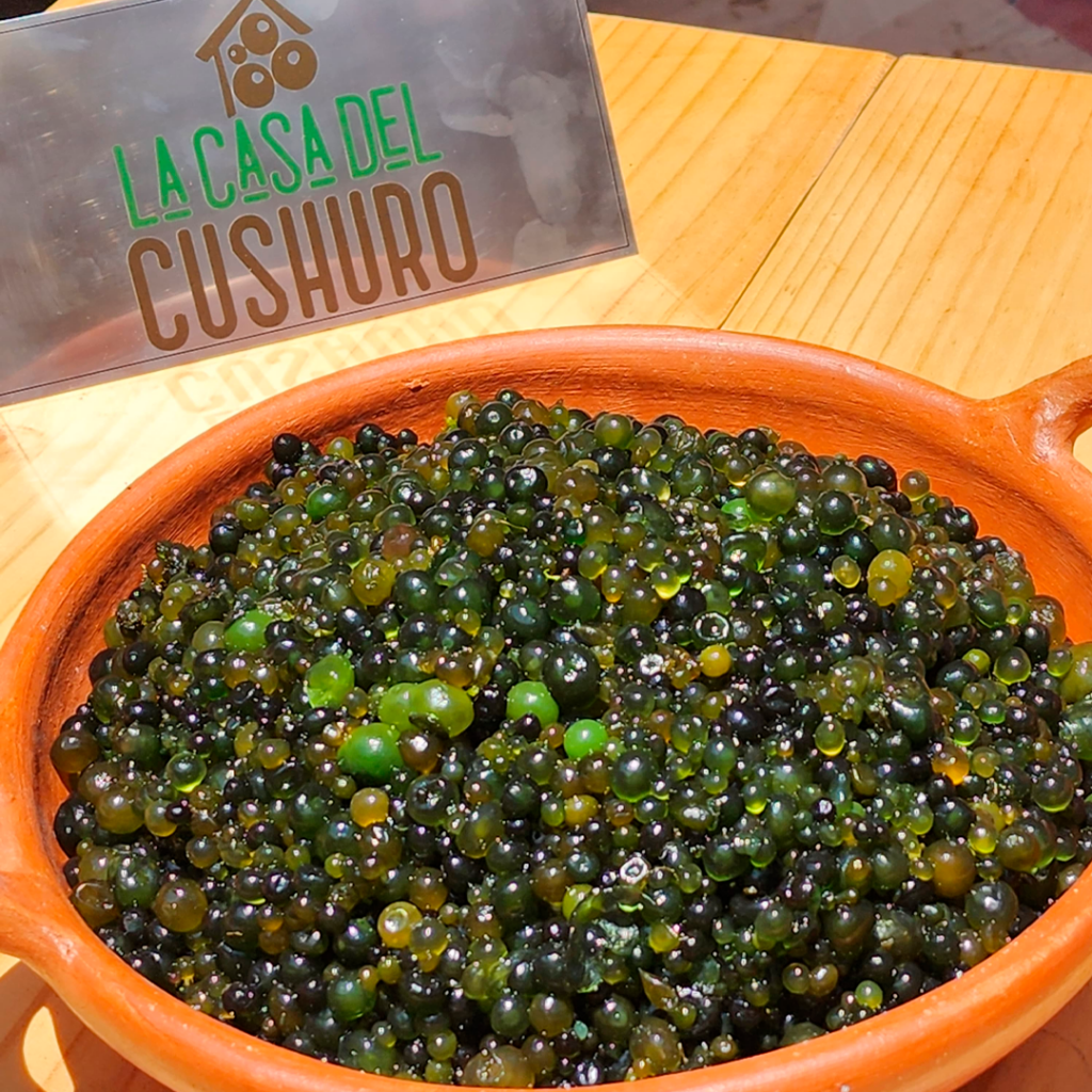 La Casa del Cushuro – Casa del Cushuro